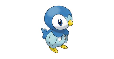 ポッチャマ｜ポケモンずかん