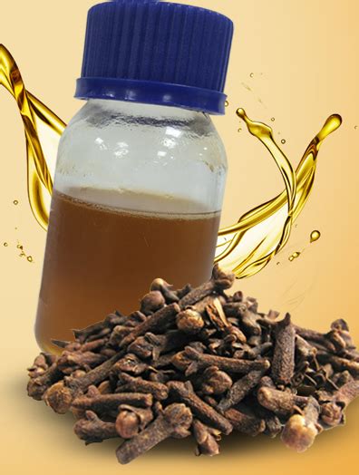 Dvt Extracts Scfe Co2 Ginger Oil Supplier Scfe Co2 Clove Oil