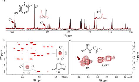Nmr Determines The Molecular Mechanism Of Droplet Formation A The