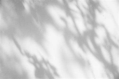 콘크리트 벽에 그림자 잎의 흑인과 백인 추상 배경 Textuer 0명에 대한 스톡 사진 및 기타 이미지 0명 건축 그늘