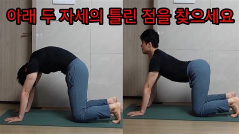 소 고양이 자세 에너지 방향과 초보자가 많이 실수하는 포인트 Youtube