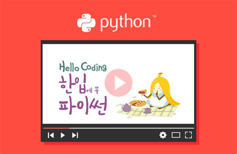 여왕의 크로케 경기장 김왼손의 왼손코딩 한입에 쏙 파이썬 3시간 만에 끝내는 파이썬 기초 저자 직강