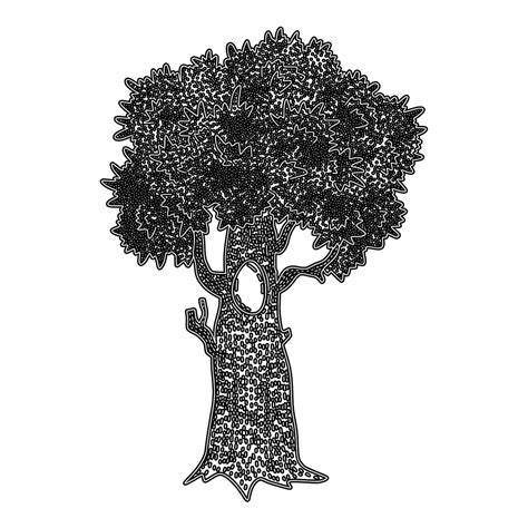 Clever Tree Outlines Crafty Tree Line Art