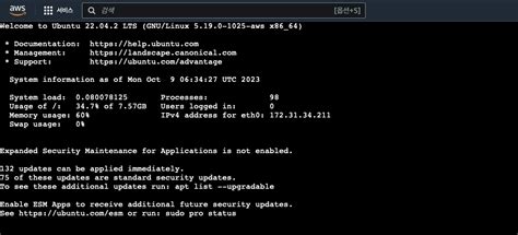 Aws Ec2에 Docker 설치하기