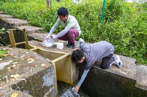 这里的消落带有了绿意【9】 图片频道 人民网