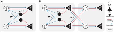 Mrc Brain Network Dynamics Unit On Linkedin New Unit Paper In Neurips 2023 On A Possible