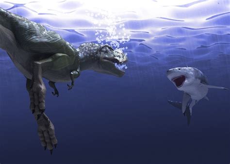 Megalodon Vs Trex By Zizodino On Deviantart