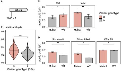 Identification Of The Causal Variant Underlying Differences In Acetic