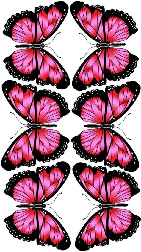 Бабочки для букета шаблон в 2025 г Шаблон бабочка Бумажные бабочки Букет