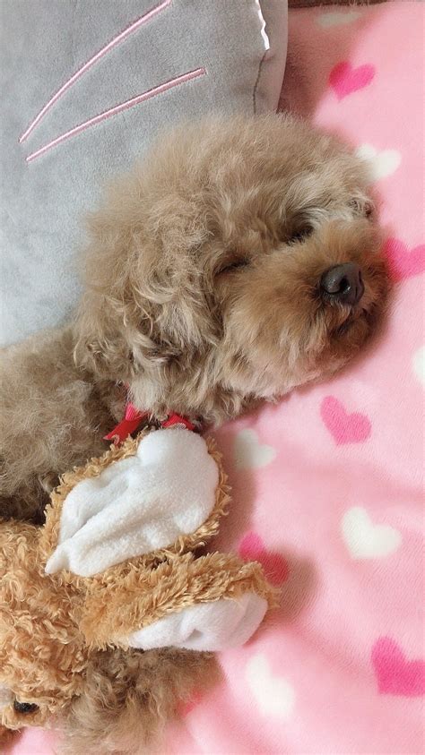 ママと一緒にネンネ♡ まにまにな日々