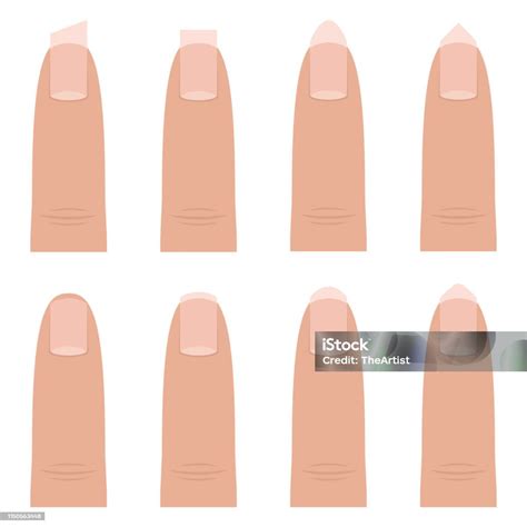 여성 손톱 모양 흰색 배경에 고립 된 벡터 디자인 일러스트 가장자리에 대한 스톡 벡터 아트 및 기타 이미지 가장자리 건강한