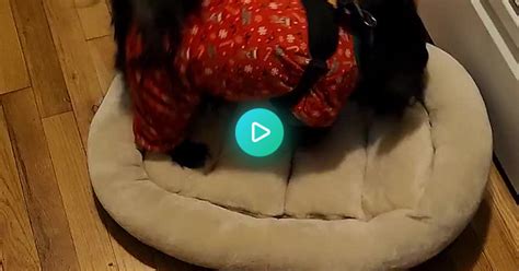 Pru Got A New Bed 3 Album On Imgur