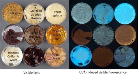 Multispectral Imaging Whats It Good For Bitstreams The Digital Collections Blog