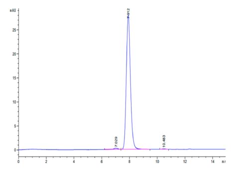 Mouse Egfr Her1 Protein Recombinant Reprokine