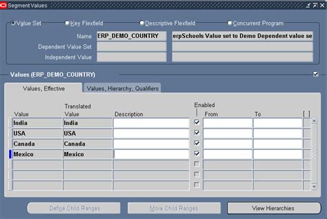 Value Sets Independent Dependent Table Erpschools