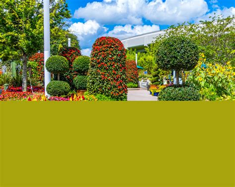 South Florida Garden Plants Beautiful Shade Plants For Florida Patios
