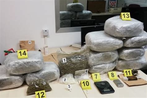 Na širem Riječkom Području Policija Oduzela 23 Kilograma Marihuane