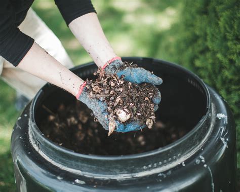 Composting Mistakes That Will Ruin Your Stash Gardening Know How