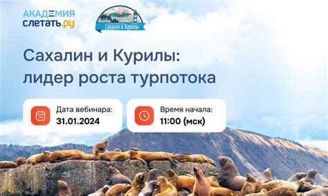 Сахалин и Курилы лидеры турпотока на Дальнем Востоке Вебинар 31 01 2024