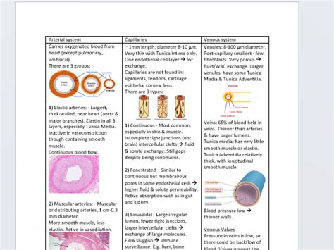 Cardiovascular System Teaching Resources