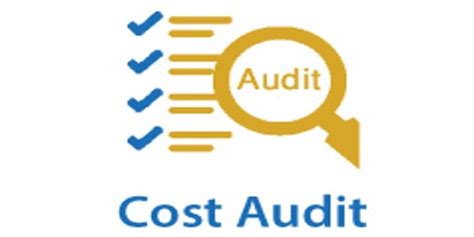 Cost Audit Assignment Point