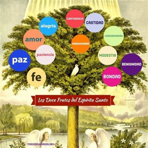 El Árbol De Los Dones Y Frutos Del Espíritu Santo Un Viaje De