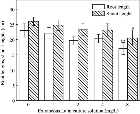Root Lengths And Shoot Heights Of V Faba Seedlings Cultured In