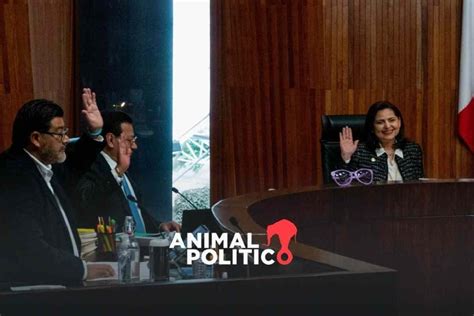 Tribunal Electoral Avala Que Guadalupe Taddei Mantenga Al Ine Con