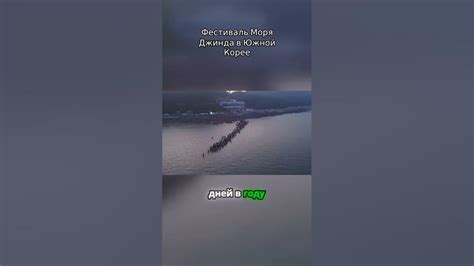 Фестиваль Моря Джинда в Южной Корее - YouTube