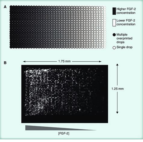 Illustration Of How Digital Printing Methods Can Be Used To Print Download Scientific Diagram