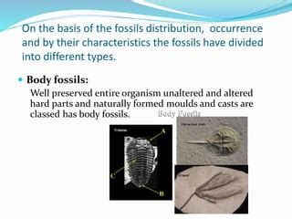 Types Of Fossils And Uses PPTX