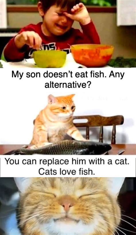 ʘᆽʘ Album On Imgur