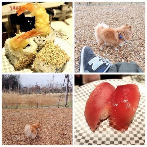 左手首骨折の続編 酒は、飲んでも呑まれるな！