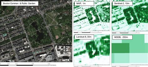 Comparison Of Spatial Resolution Of NDVI From NAIP Sentinel 2 Landsat