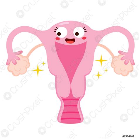 Cute Happy Human Uterus Character Stock Vector 2314761 Crushpixel