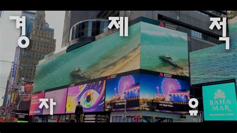 채널소개 미국 주식 투자로 경제적 자유를 획득하자 Youtube