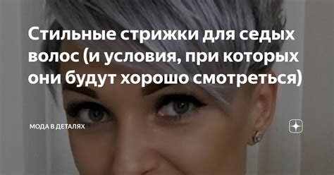 Стильные стрижки для седых волос и условия при которых они будут хорошо смотреться Мода в