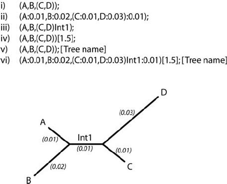 4 Newick Phylip Format Trees Newick Formatted Trees Can Contain A
