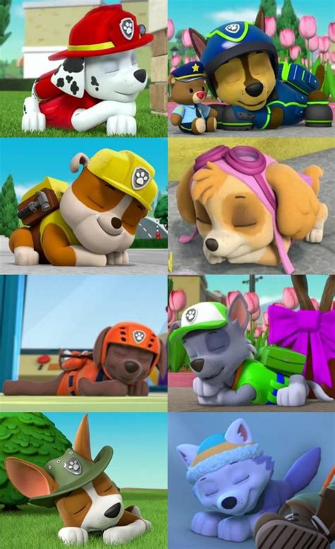 Paw Patrol Pups Sleeping By Lah2000 On Deviantart Paw Patrol Cartoon