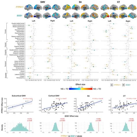 Ptpn11 And Sos1 Gain Of Function Variants In The Ras Mapk Pathway And