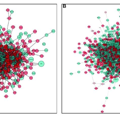The Top Three Protein Protein Interaction Ppi Hub Network Modules