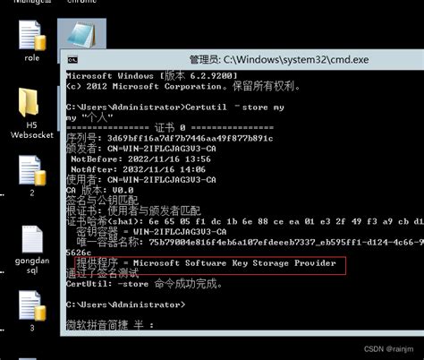 Windows服务器证书算法升级弱证书签名sha1 Csdn博客