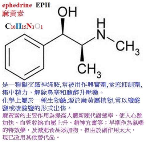 目錄一