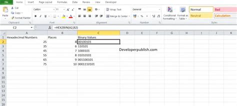 how to use hex2bin in excel developer publish