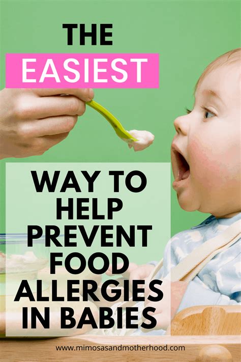 How To Help Prevent Food Allergies In Babies Mimosas Motherhood