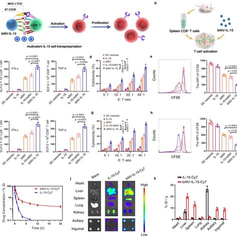 Binv Il 15 For Multivalent Il 15 Self Transpresentation Mist And