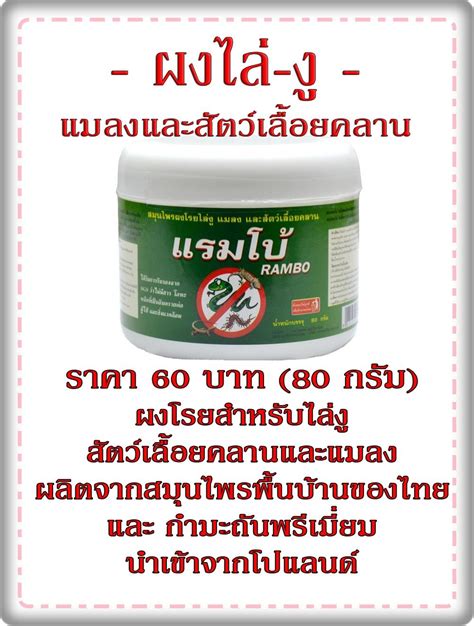 🐤วิตามินไก่ไข่ ฟองโตขึ้น ไก่ไข่อารมณ์ดีประเทศไทย