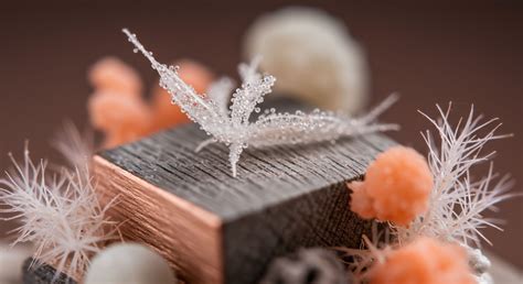 Regenerated Fibers → Term