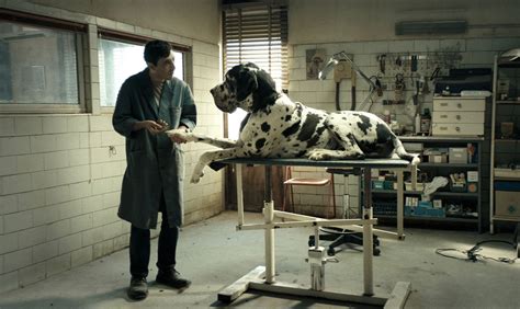 Photo Du Film Dogman Photo 5 Sur 11 Allociné