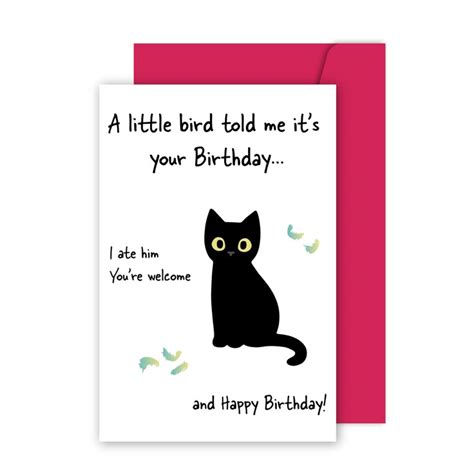 Tmtechjs Funny Cat Birthday Greeting Cards Cute Greeting Cards Funny
